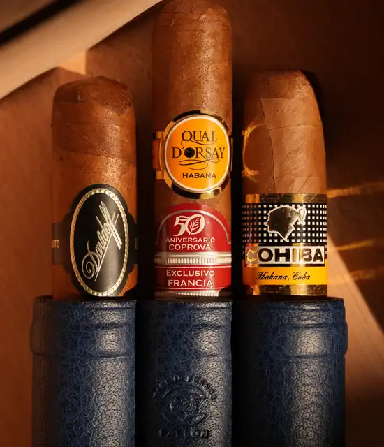 Monte-Carlo Cigar Club | Monte-Carlo Société des Bains de Mer