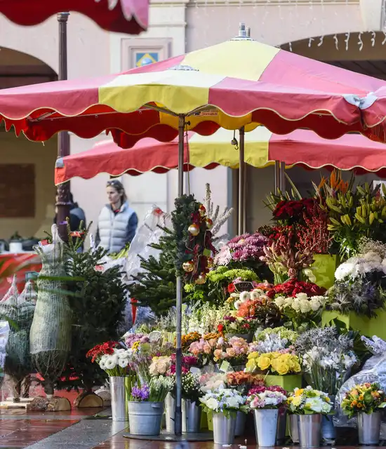 Five reasons to select Monaco for your events | Monte-Carlo Société des ...