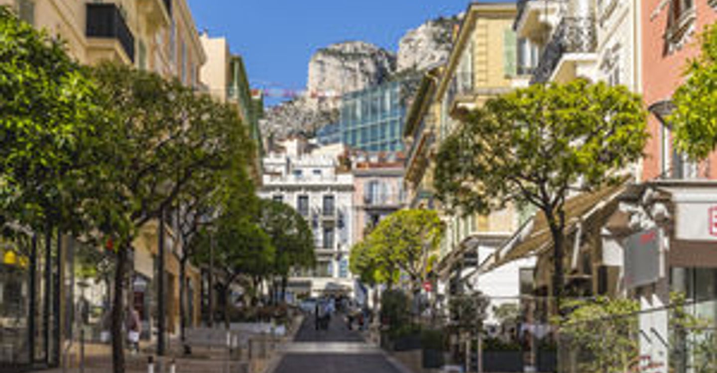 The real Monaco: a sunny stroll through the Condamine district… | Monte ...